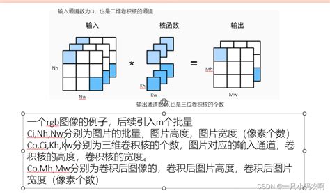 【pytorch卷积和池化理解】pytorch卷积层和池化层的区别 Csdn博客
