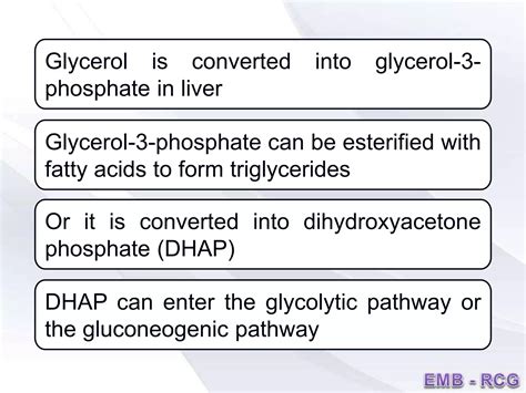 Metabolism Of Triglycerides Pptx