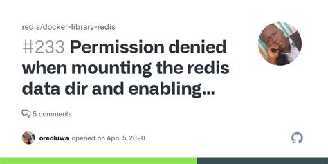 Permission Denied When Mounting The Redis Data Dir And Enabling Persistence · Issue 233 · Redis