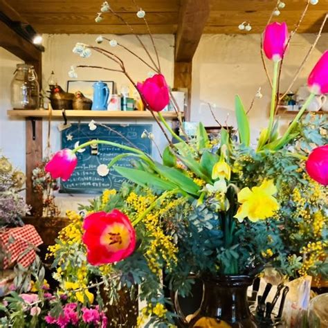 𝒩𝒪𝑅𝐼 §þï†z♡ Miffy720 • Threads Say More