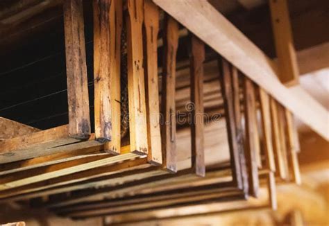Bee Frames With Sealed Combs And Honey Hang In The Shed Breeding Bees