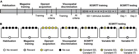 The Five Choice Serial Reaction Time Task 5csrtt Measures Attention Download Scientific
