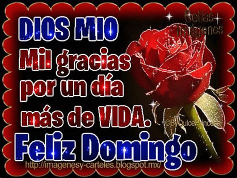 Dios Mio Mil Gracias Por Un Día Más De Vida Feliz Domingo Feliz