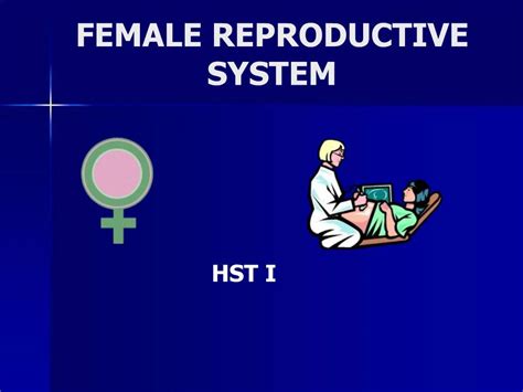 Ppt Female Reproductive System Powerpoint Presentation Free Download