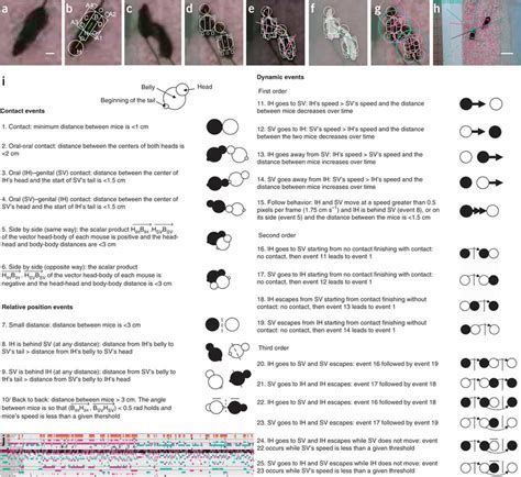 Physics Model And Repertoire Of Social Interaction A Image Of A