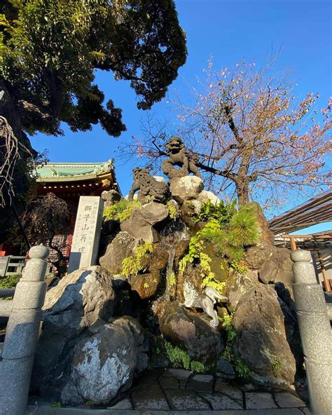 松岡知穂さんのインスタグラム 松岡知穂coco