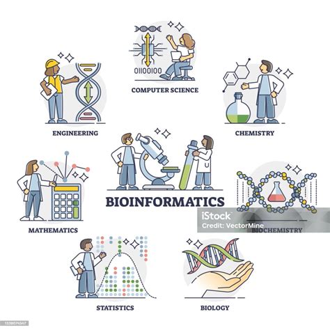 생물학 데이터 개요 수집 세트를 위한 소프트웨어로서의 생물정보학 사용 생물정보학에 대한 스톡 벡터 아트 및 기타 이미지 생물정보학 0명 Dna Istock