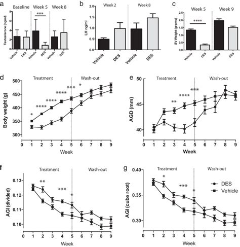 Increasing Estrogen Signaling Reduces AGD In The Adult Male Rat A Download Scientific Diagram