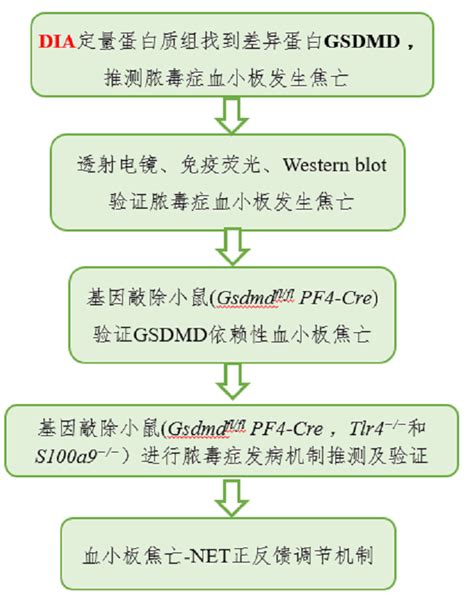 Nature子刊！华大基因蛋白质组技术，助力脓毒症诊疗研究