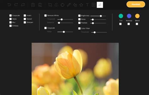 Toast Ui Image Editor Tui Image Editor Is An Open Source Full Featured Alternativeto