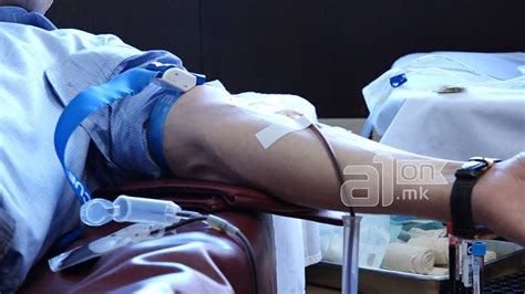 Прилеп со успешна крводарителска акција