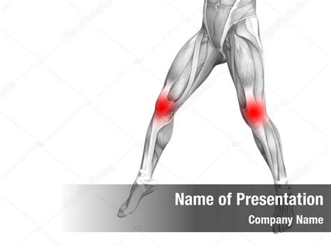 Osteoarthritis Pain In Knee Powerpoint Template Osteoarthritis Pain