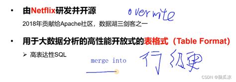 iceberg数据湖 介绍 高表达sql 完整模式演化 时间旅行和回滚 隐藏分区 数据压缩合并 大数据之 数据湖框架apache