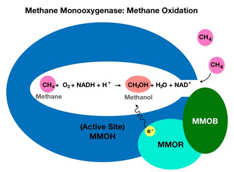 Methane Monooxygenase Chemistry Libretexts