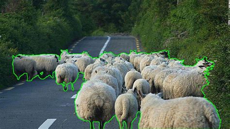 Road Anomaly ‒ Cvlab ‐ Epfl