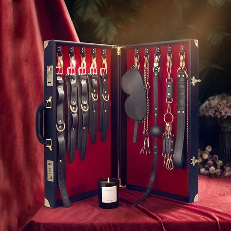 Luxury Bdsm Suitcase Kit Luvxic