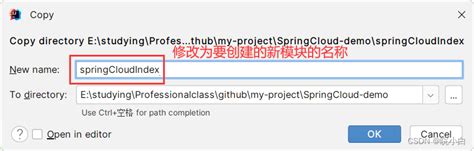 Idea复制模块 Csdn博客