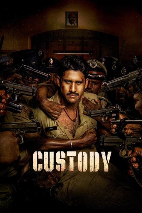 Custody Australian Classification