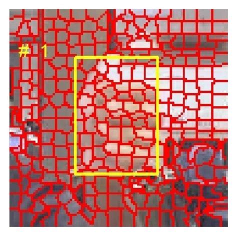 Slic And Ctm Hand Detection A Slic Superpixels On The First Frame Download Scientific