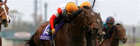 高松宮記念2021｜g1特集｜競馬情報ならjra Van