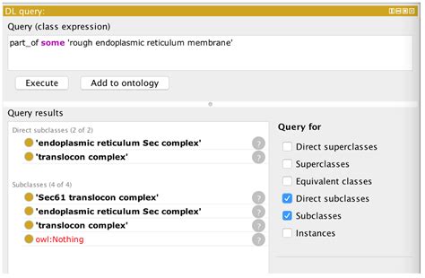 Exercise Basic Restictions — Ontology101tutorial 10 Documentation
