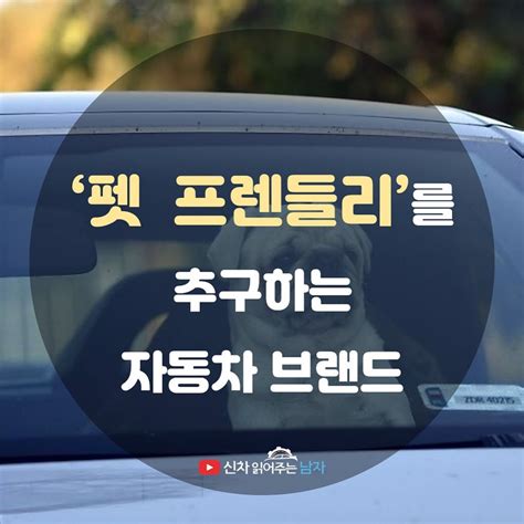 신차읽어주는남자 펫 프렌들리 안녕하세요 신차읽어주는남자 입니다 전 세계적으로