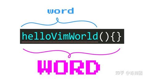 编辑器进化 Vscode Vim 知乎