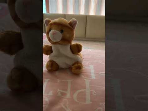 華爾街最傑出分析員Tom Lee的最新分析會不會再次出現科技股泡沫爆破五年之內股市上升多兩倍 YouTube