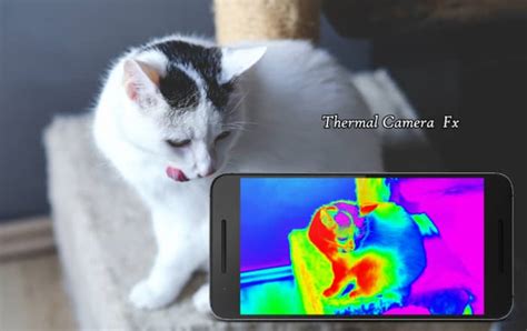 Best Infrared Camera Apps For Android IOS