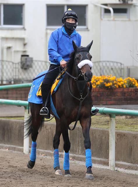 【ターコイズs】ドナアトラエンテ 後方一気狙う 国枝師「状態は前走よりいい」 競馬ニュース