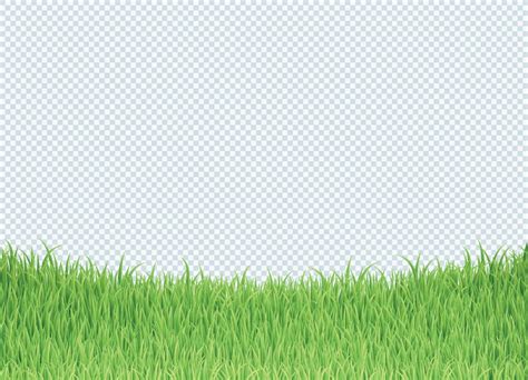 Simple Green Grass Bottom Edge Border Background 2223624 Vector Art At