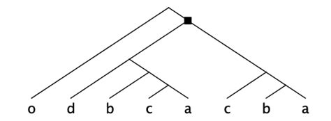 An Example Of Mul Tree With One Odn Indicated By A Black Square Download Scientific Diagram