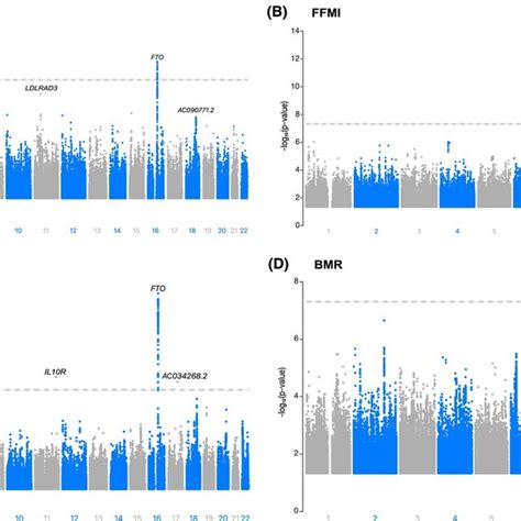Locuszoom Plot Of The Fto Gene From The Uk Biobank P Values Of Snps Locuszoom Plot Of The Fto Gene From The Uk Biobank P Values Of Snps