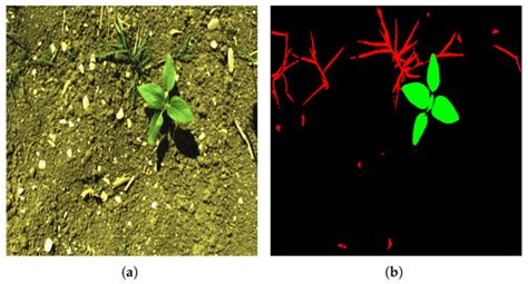 Low Cost Robot For Agricultural Image Data Acquisition