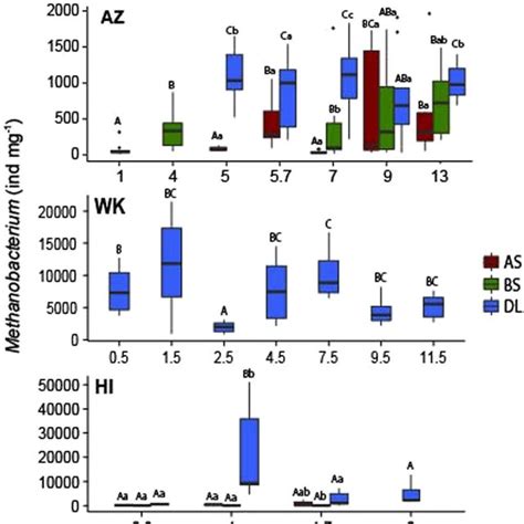 Abundance Of Methanobacterium In The Different Sites Az Amsterdam Download Scientific
