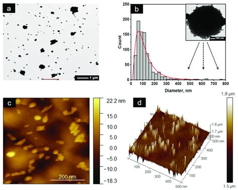 A Tem Image Of The Agnps B Corresponding Particle Size Download Scientific Diagram