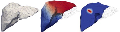 Github Jinaojakezhangfedfembioheatdeform Fast Computation Of Soft