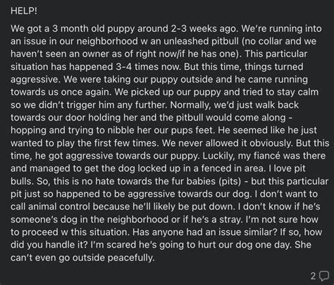 Help I Love Pit Bulls But The Friendly Neighborhood Pitty Wants To