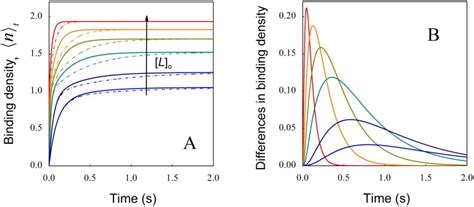 Cooperativity In Binding Processes New Insights From Phenomenological Modeling Pmc
