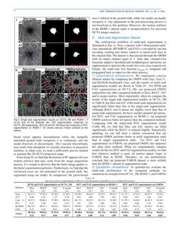 OMSN And FAROS OCTA Microstructure Segmentation Network And Fully