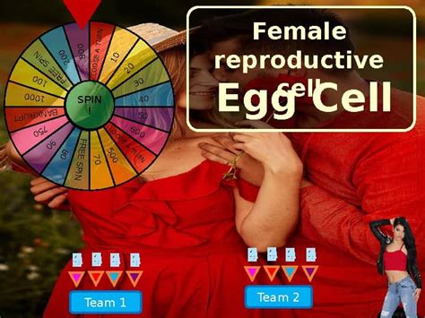 Sex Education Wheel Game By Prakash Bhatia Tpt