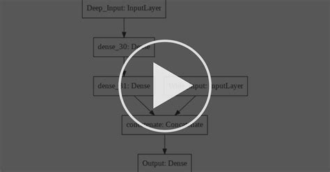 Complex Architectures With The Functional Api Custom Models Coursera