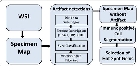 The General Diagram Of The Hot Spot Algorithm Download Scientific Diagram