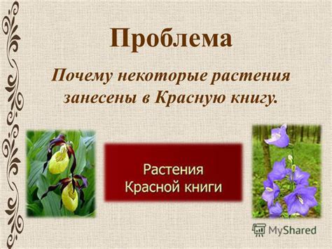Презентация на тему Растения занесённые в Красную книгу Скачать