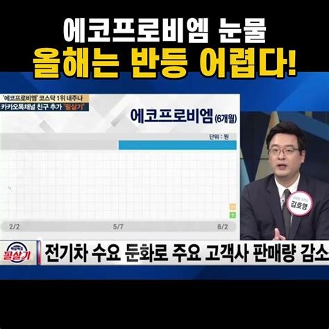 에코프로비엠 내년을 기대하자올해는 반등 기대 어렵다20240802 Youtube
