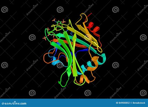 The Thrombospondin 1 A Multi Domain Matrix Glycoprotein Has Be Stock