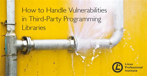 Blog How To Handle Vulnerabilities In Third Party Programming