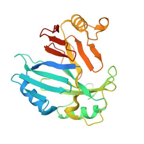 RCSB PDB 3PKW Crystal Structure Of Toxoflavin Lyase TflA Bound To Mn II