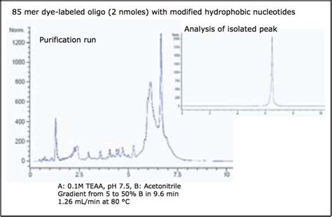 Oligonucleotide Separation Technology Synthesis Challenges And Hplc Isolation Options Waters