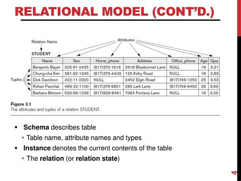 Ppt The Relational Data Model Powerpoint Presentation Free Download Id2467511 Ppt The Relational Data Model Powerpoint Presentation Free Download Id2467511